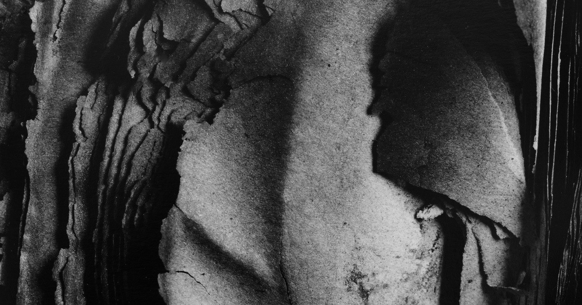 Hitoshi Fugo - Exhibitions | Miyako Yoshinaga